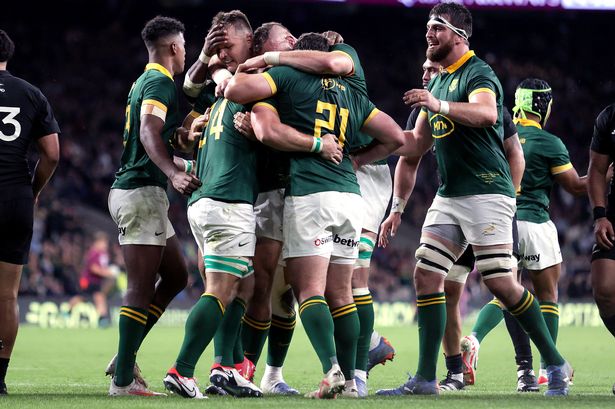 Springboks plan radical bench tactic as they seek to overpower Ireland ...